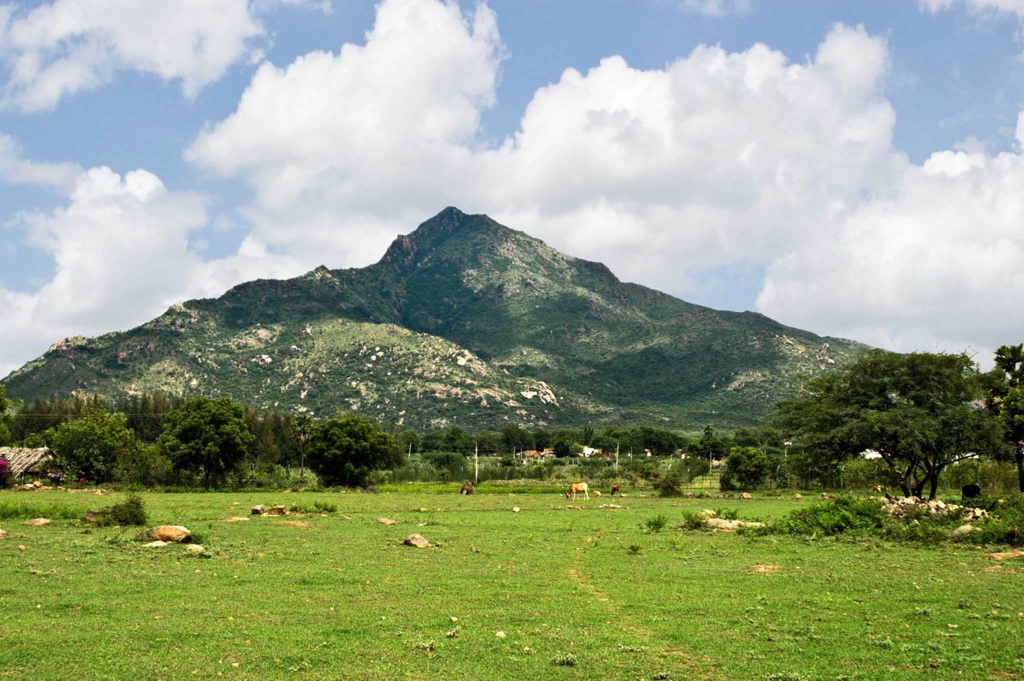 Mount Arunachala – ecoheritage.cpreec.org
