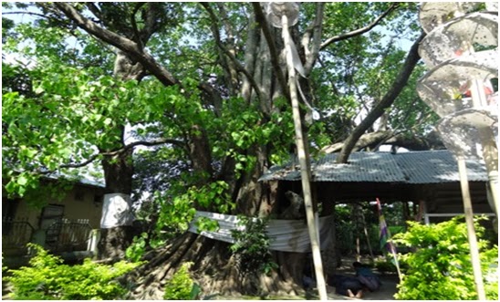 Manipur – ecoheritage.cpreec.org