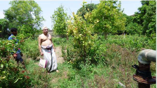 Sri Varadaraja Perumal Temple Garden – ecoheritage.cpreec.org