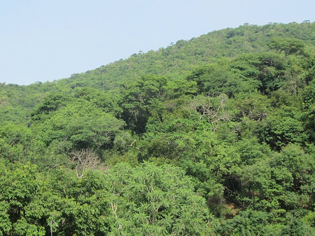 Alagarkoil / Pazhamudhir Cholai – ecoheritage.cpreec.org