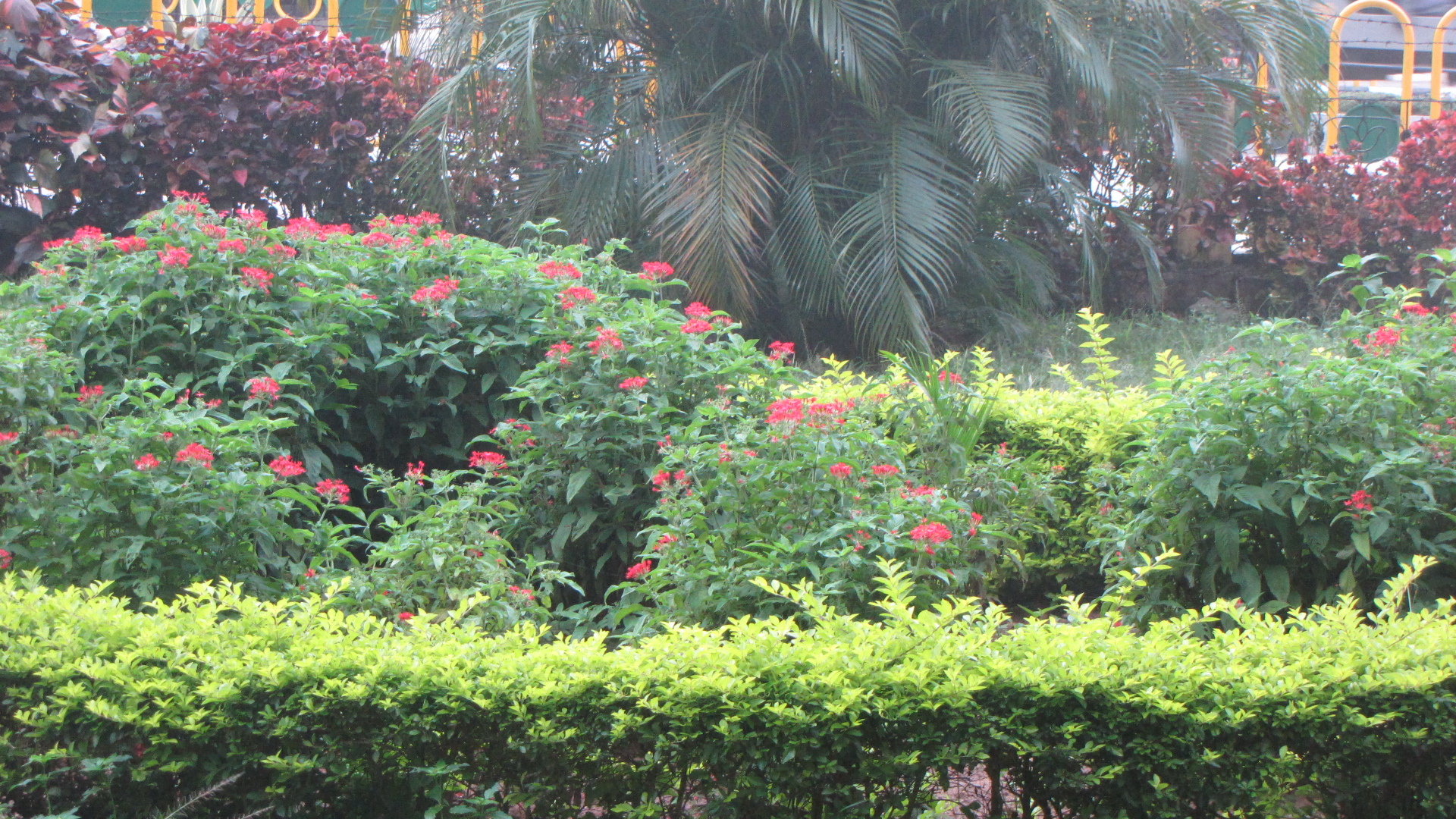 Tirumala – ecoheritage.cpreec.org