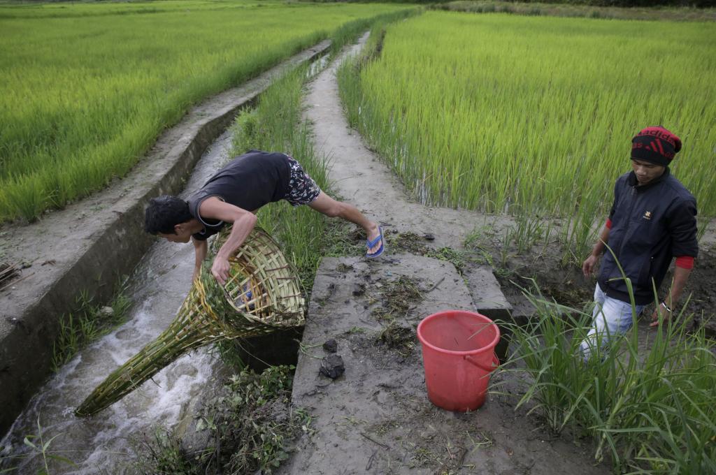 Apatani Farming System – ecoheritage.cpreec.org