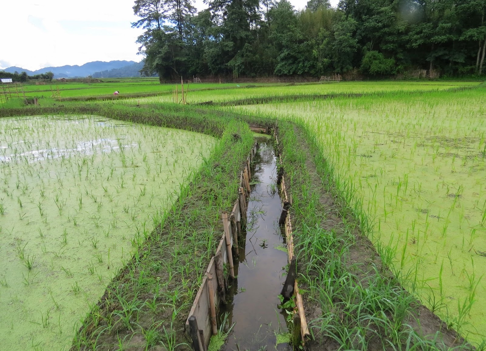 Apatani Farming System – ecoheritage.cpreec.org