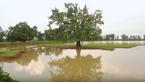 Ahar Pyne- Traditional floodwater harvesting system in South Bihar ...