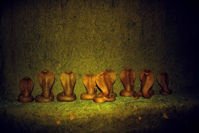 Sacred animals of Goa – ecoheritage.cpreec.org