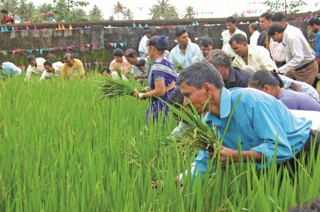 Tree worship in Goa – ecoheritage.cpreec.org